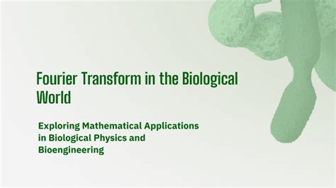 Fourier Transform In The Biological World By Rose Rhitar On Prezi