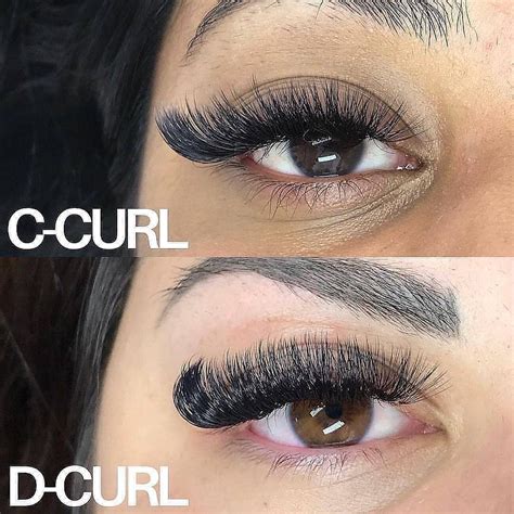 C Curl Vs D Curl Unlocking The Secrets Of Lash Extensions Coonv Net