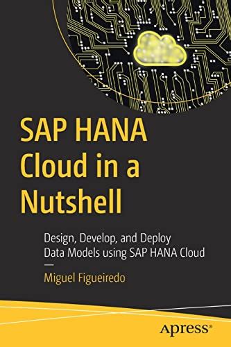 Sap Hana Cloud In A Nutshell Design Develop And Deploy Data Models