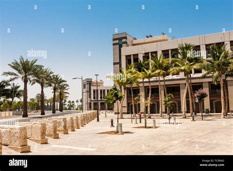 King Abdullah University Of Science And Technology Logo