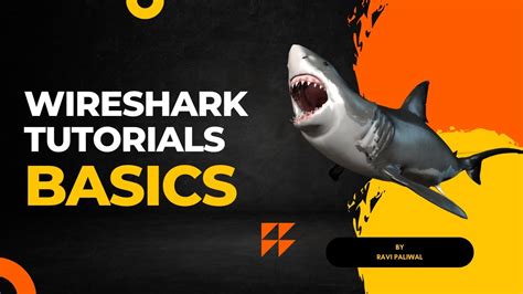 Wireshark Lab 1 Introduction Youtube