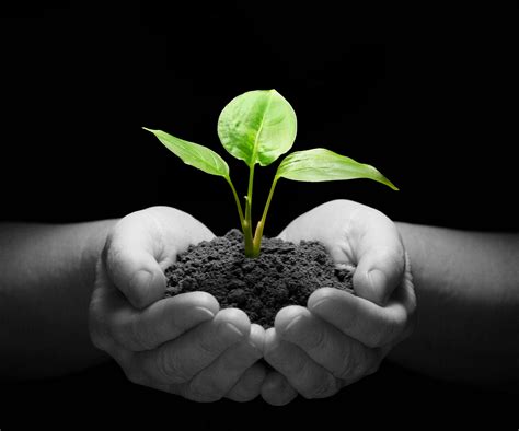 Hope Restored Ministries January 2018 Newsletter