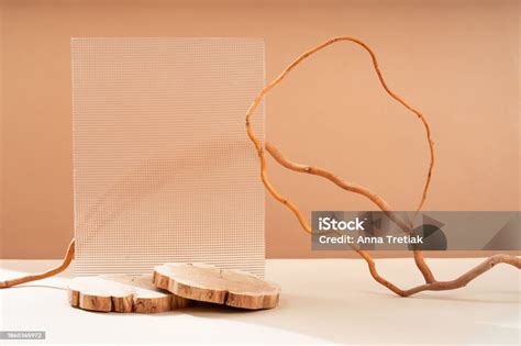 전시회 및 제품 프레젠테이션을 위한 연단 재료 유리 돌 나무 마른 가지 천연 소재로 만든 아름 다운 복숭아 배경 구도가 있는