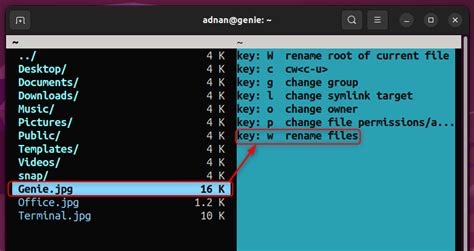 How To Rename A File On Ubuntu 22 04 Linux Genie