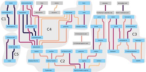 Fragment Of The Main Graph Of Metabolites Pairwise Correlation Only