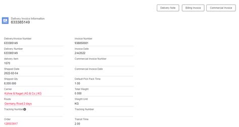 how to display an invoice pdf
