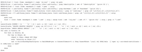 SSH Snake New Self Modifying Worm Threatens Networks Sysdig