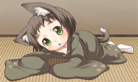 Nekochan Hd Desktop Wallpaper Widescreen High Definition Fullscreen