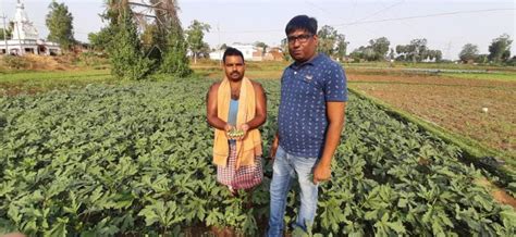 Sunil Singh On Linkedin Okrabindu Farmerbindu