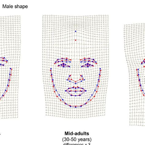 Sex Differences In Facial Shape Of Maasai From Three Age Cohorts Download Scientific Diagram
