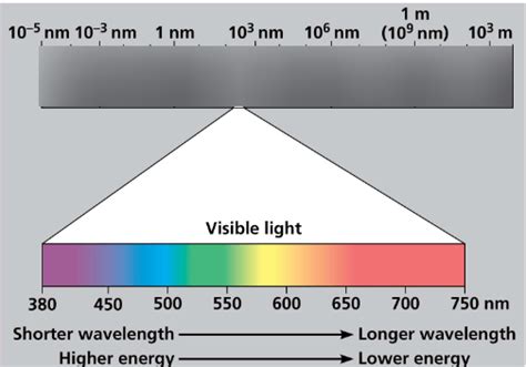 Electromagnetic Spectrum Diagram Quizlet