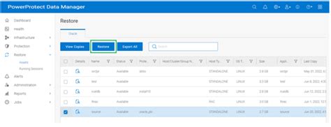 Centralized Restore And Recovery Of Oracle Backups Powerprotect Data