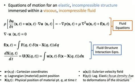浸入边界法 Immersed Boundary Method 知乎
