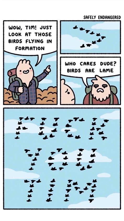 The Best Tim Memes Memedroid