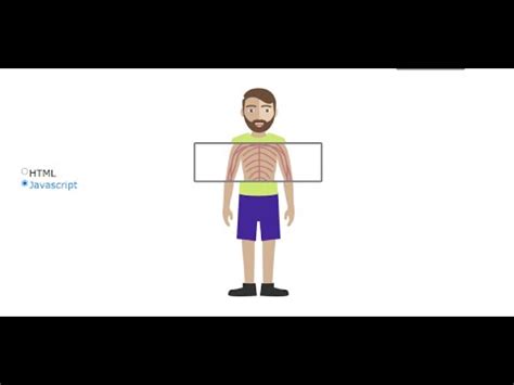 HTML CSS JAVASCRIPT Relationship Explained With An Example Of Human Body YouTube