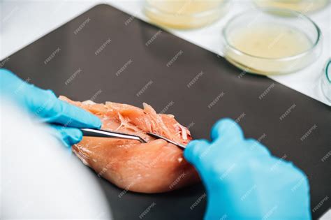 Premium Photo Food Safety And Quality Testing Of Poultry Meat Laboratory Technician Taking A