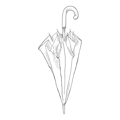 벡터 스케치 접힌 우산 그림 프리미엄 벡터