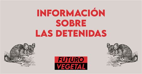 FuturoVegetal on Twitter RT FuturoVegetal Nuestras compañeras han