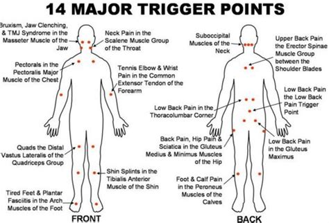 Recovery 101 What Is Trigger Point Massage Project Swole