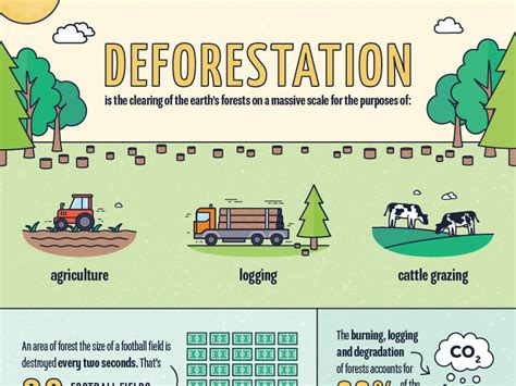 Deforestation Poster Project
