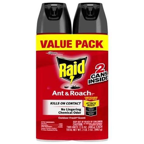 Raid Ant And Roach Killer 26 Outdoor Fresh Scent 20 Oz 2 Ct Dutch Goat