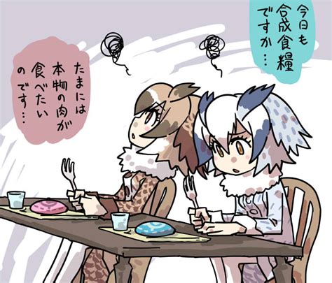 Northern White Faced Owl And Eurasian Eagle Owl Kemono Friends Drawn