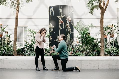 Dani Markowitz And Jeremy Michelsons Wedding Website