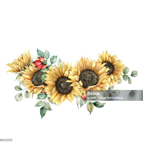 해바라기 열매 유칼립투스 잎과 개그로즈가 있는 수채화 가을 꽃다발 흰색 배경에 고립 된 손으로 그린 소박한 카드 디자인 인쇄