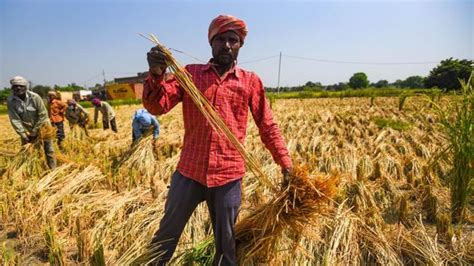 Photos Kharif Farmers Stare At Low Prices Despite Record Harvests