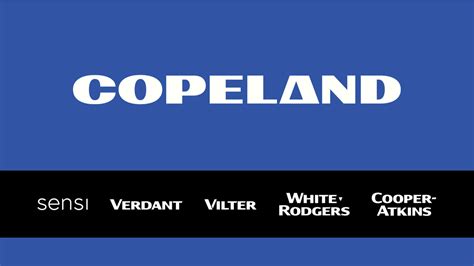 Improving Lives Protecting The Planet Copeland In