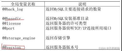 数据库原理及应用MySQL版知识点总结 数据库技术与应用 mysql版 第二版 期末复习知识点 CSDN博客
