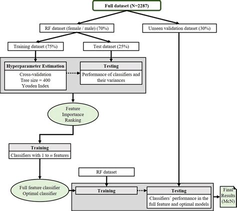 Flow Diagram Of The Steps In The Machine Learning Process Download Scientific Diagram
