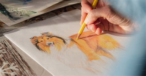 연필을 들고 개 그림을 그리는 사람 사진 Unsplash의 색칠 공부 이미지