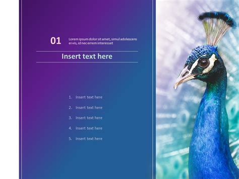 Peacock Ppt Download Free