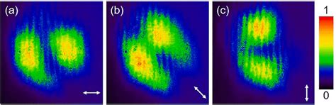 Polarization Test Of The 1 Order Vector Vortex Beam The Transmission