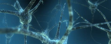 How To Build A Neuron Exploring Ai In Javascript Pt 1 By Eric