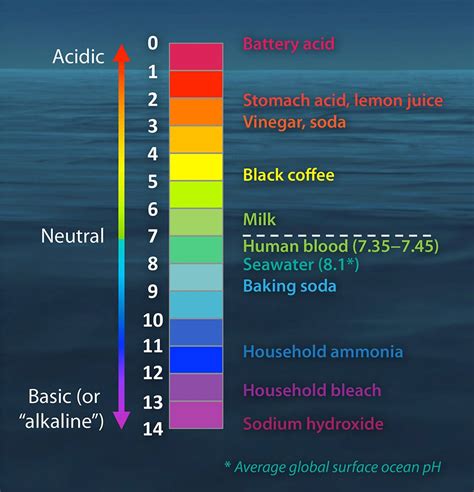 Scale Of Ocean Charts Ocean Depth Infographic Illustration Diagram