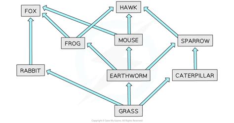 Nature Of Ecosystems 621 Aqa A Level Geography Revision Notes