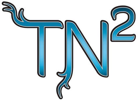 Translational Neuropsychiatry Through Neuromodulation Lab Tn2 Lab