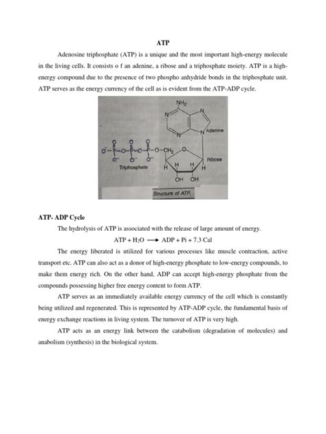 Atp Pdf Adenosine Triphosphate Adenosine Diphosphate