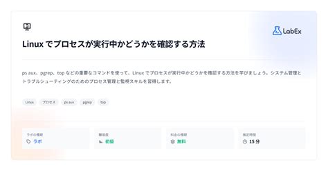 Linux でプロセスが実行中かどうかを確認する方法 Labex