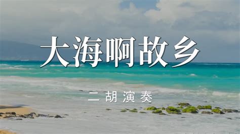 二胡演奏《大海啊故乡》经典老歌，熟悉的曲声，还是那么让人动容音乐器乐好看视频