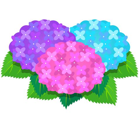 無料イラストあじさいの花 フリー素材 紫陽花 イラスト Pepn