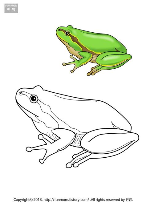 Cheerful Green Frog Coloring Page