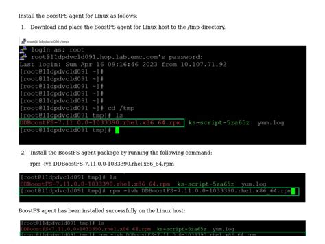 installing the boostfs agent dell data domain boost file system