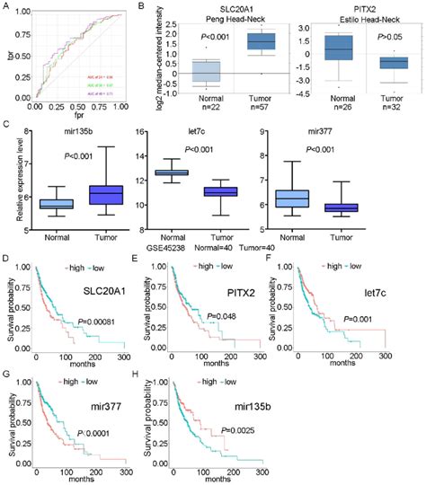 Roc Curve And Survival Analyses For Biomarkers A Roc Curves For 2