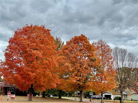 Be Kind Allow Failure