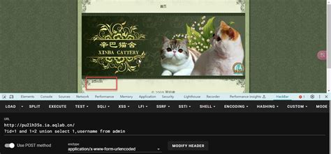 封神台 sql注入 靶场 （猫舍）手动注入 csdn博客