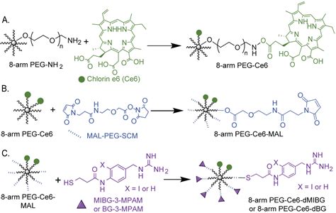 Efficient And Highly Biocompatible 8 Arm Peg Chlorin E6 Nanosystems For