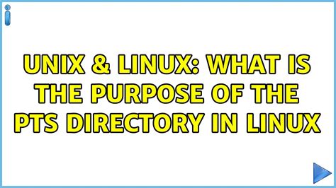 Unix And Linux What Is The Purpose Of The Pts Directory In Linux Youtube